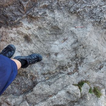 INDIAN ROCK PARK - Updated March 2025 - 421 Photos & 236 Reviews - 950 ...