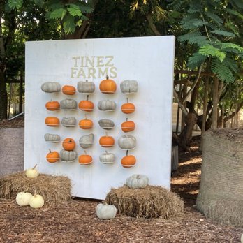 TINEZ FARMS - Updated October 2024 - 331 Photos & 57 Reviews - 16405 SW ...