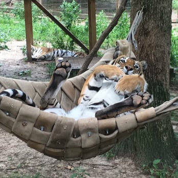 CROWN RIDGE TIGER SANCTUARY - Updated December 2025 - 28 Photos & 13 ...