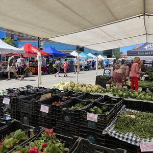 UNGER FARMS - Updated June 2025 - 86 Photos & 22 Reviews - 34180 SW ...