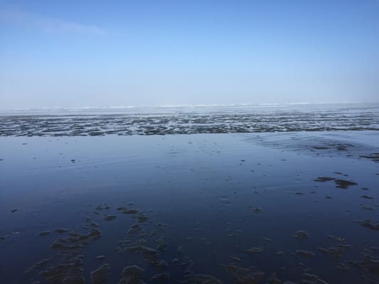 TIDELANDS RESORT - Updated October 2025 - 14 Reviews - 2991 State Route ...