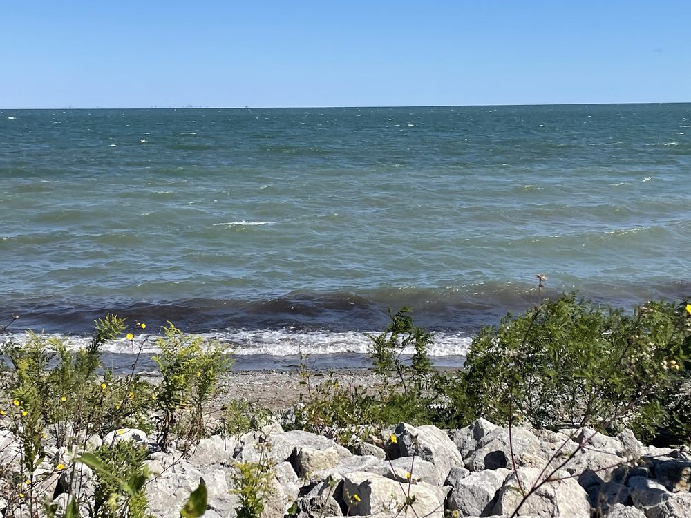 CONFEDERATION PARK - Updated December 2024 - 18 Photos - 585 Van ...