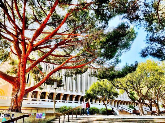 UCI LANGSON LIBRARY - Updated November 2025 - 23 Photos & 30 Reviews ...