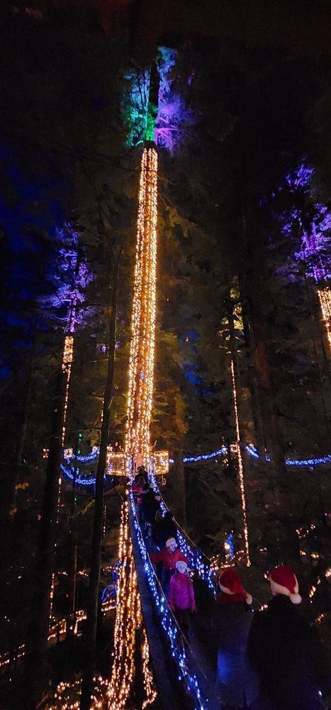 CAPILANO SUSPENSION BRIDGE PARK - Updated September 2024 - 6228 Photos ...