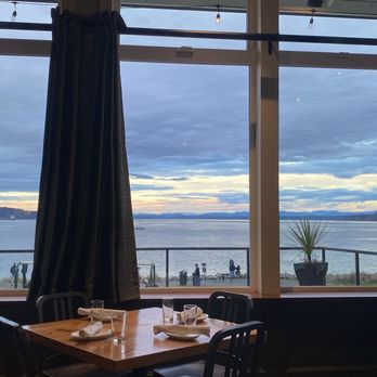 WILDFIN AMERICAN GRILL - Updated August 2024 - 899 Photos & 1014 ...