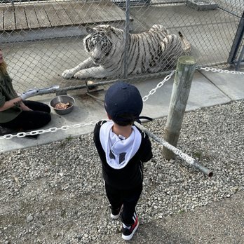 VISION QUEST RANCH - Updated November 2025 - 827 Photos & 320 Reviews ...