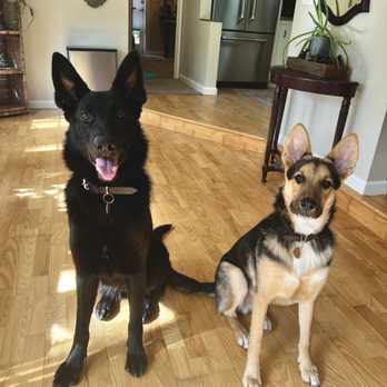 STANISLAUS ANIMAL SERVICES AGENCY - Updated March 2025 - 60 Photos ...