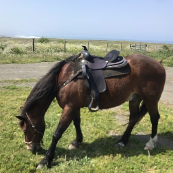 ROSS RANCH - Updated October 2025 - 154 Photos & 102 Reviews - 16401 ...