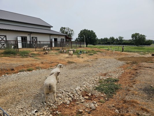 TIMBERVIEW FARMSTEAD - Updated December 2025 - 71 Photos - 4274 ...