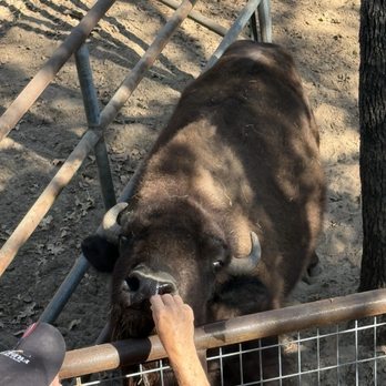 OAK MEADOW RANCH FEATURING THE WHITEHORSE STEAKHOUSE - Updated August ...