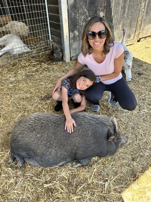 SOCALMINIPIGS - Updated February 2025 - 712 Photos & 357 Reviews ...