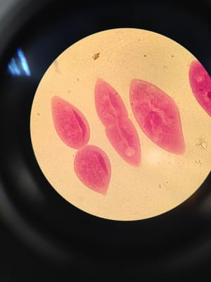 TIDEWATER COMMUNITY COLLEGE - VIRGINIA BEACH CAMPUS - Updated February ...