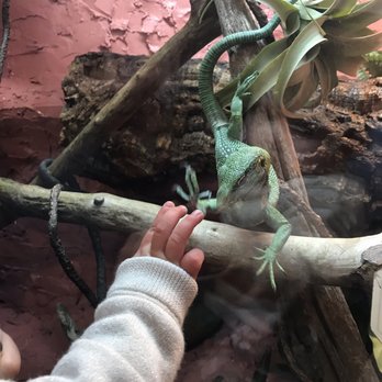 OBX LIZARD LAND - Updated June 2025 - 58 Photos & 15 Reviews - 2815 ...