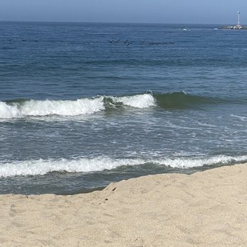 SILVER STRAND STATE BEACH - Updated October 2025 - 104 Photos & 41 ...