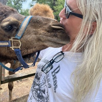 ROSE BRIDGE FARM & SANCTUARY - Updated June 2025 - 231 Photos & 83 ...