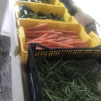 BERRY BEST FARM - Updated July 2024 - 47 Photos & 52 Reviews - 7450 ...