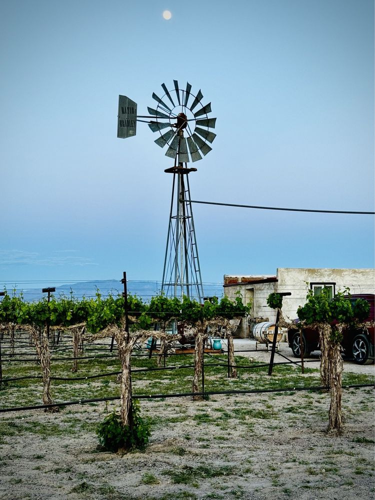 TARANTULA RANCH CAMPING & GLAMPING - Updated May 2024 - 5065 Cook Rd ...