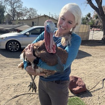 RANCHO LOS FONSECA - Updated January 2026 - 154 Photos & 50 Reviews ...