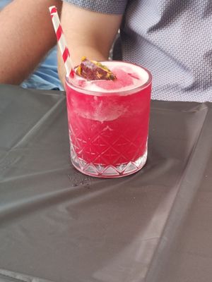 SYDNEY ROWING CLUB - Updated December 2025 - 27 Photos - 613 Great ...