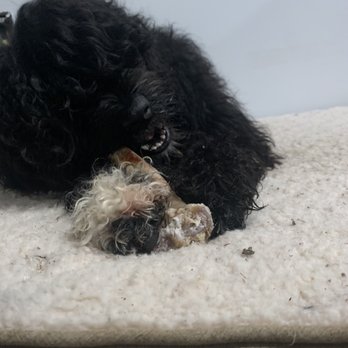 FINDLEY’S BUTCHER SHOP - Updated December 2024 - 28 Photos & 37 Reviews ...