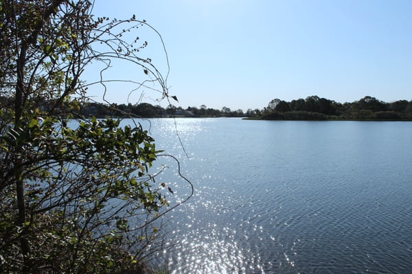 HALEY FARM STATE PARK - Updated May 2026 - 16 Photos - Haley Farm Ln ...