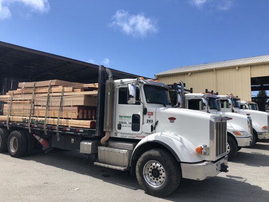 SAN LORENZO LUMBER AND HOME CENTERS - Updated January 2025 - 32 Photos ...