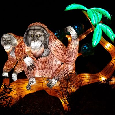 WOODLAND PARK ZOO - 3642 Photos & 983 Reviews - Seattle, Washington ...