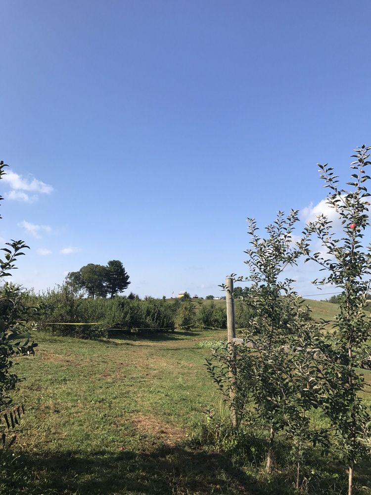 DOWSE ORCHARDS - 14 Photos & 18 Reviews - 98 N Main St, Sherborn, MA - Yelp