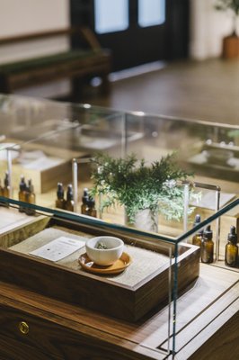 THE BOTANIST WORCESTER - Updated November 2025 - 18 Photos & 10 Reviews ...