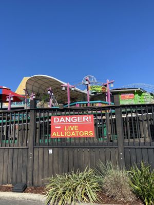 GATOR BEACH - 83 Photos & 42 Reviews - 20001 Emerald Coast Pkwy, Destin ...