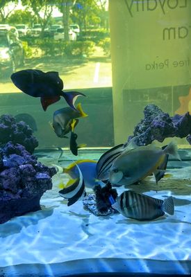 NEPTUNES AQUARIUM STORE - Updated July 2024 - 520 Photos & 20 Reviews ...
