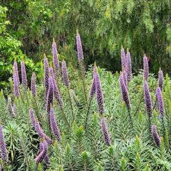 SAN DIMAS CANYON PARK - 89 Photos & 25 Reviews - 1628 Sycamore Canyon ...