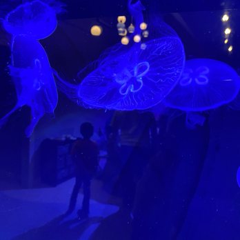 CALM ZOO - Updated March 2025 - 489 Photos & 164 Reviews - 10500 Alfred ...