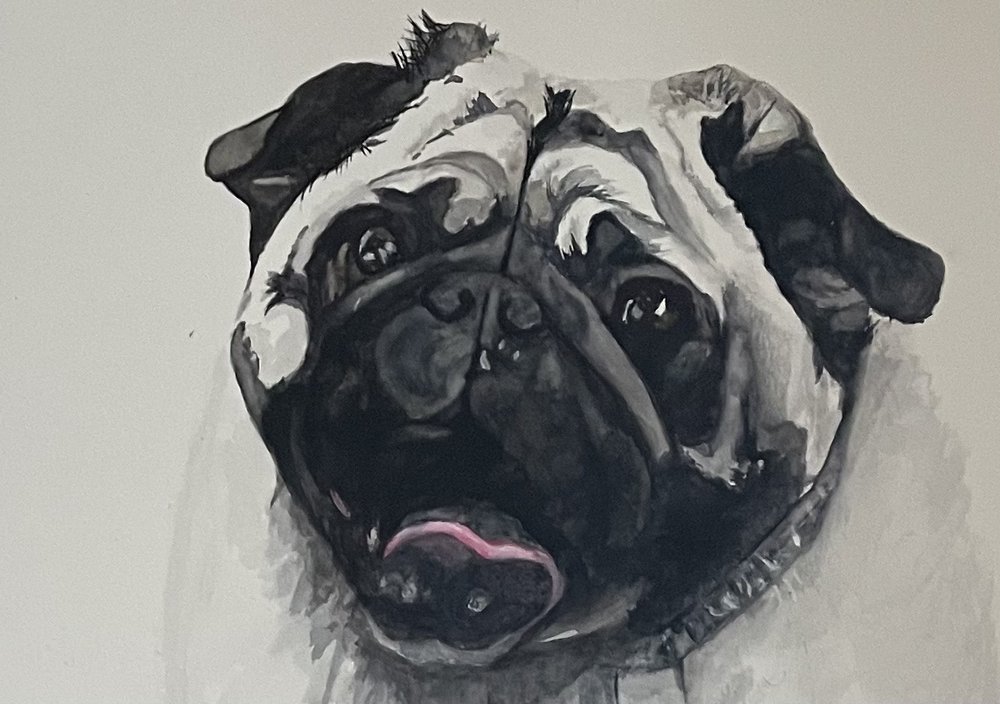 FOREVER COMPANION PET PORTRAITS - Updated October 2024 - 88 Blackfoot ...