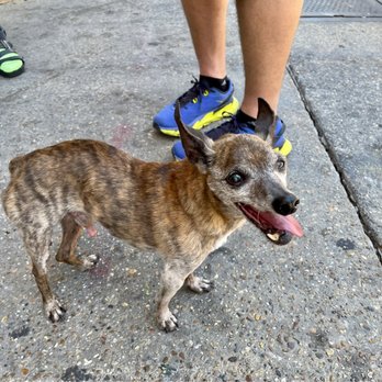 VERTI MARTE - 1036 Photos & 1517 Reviews - 1201 Royal St, New Orleans ...