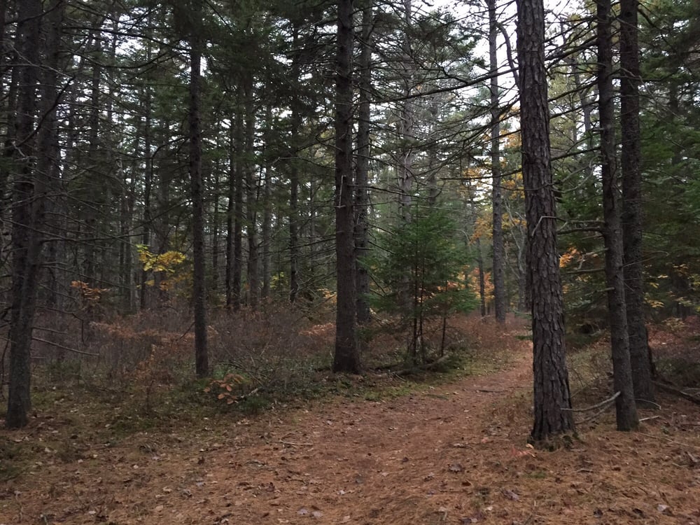 Parks - BRUNSWICK TOWN COMMONS - 17 Photos - 228 Harpswell Rd ...