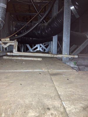 PRO ACTIVE PEST CONTROL - Updated March 2025 - 29 Photos & 207 Reviews ...