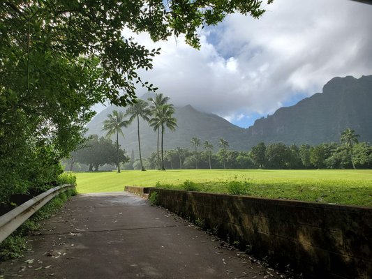 PALI GOLF COURSE - 96 Photos & 67 Reviews - 45-050 Kamehameha Hwy ...