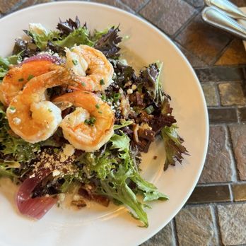 BACCHUS HOUSE WINE BAR & BISTRO - Updated December 2025 - 792 Photos ...