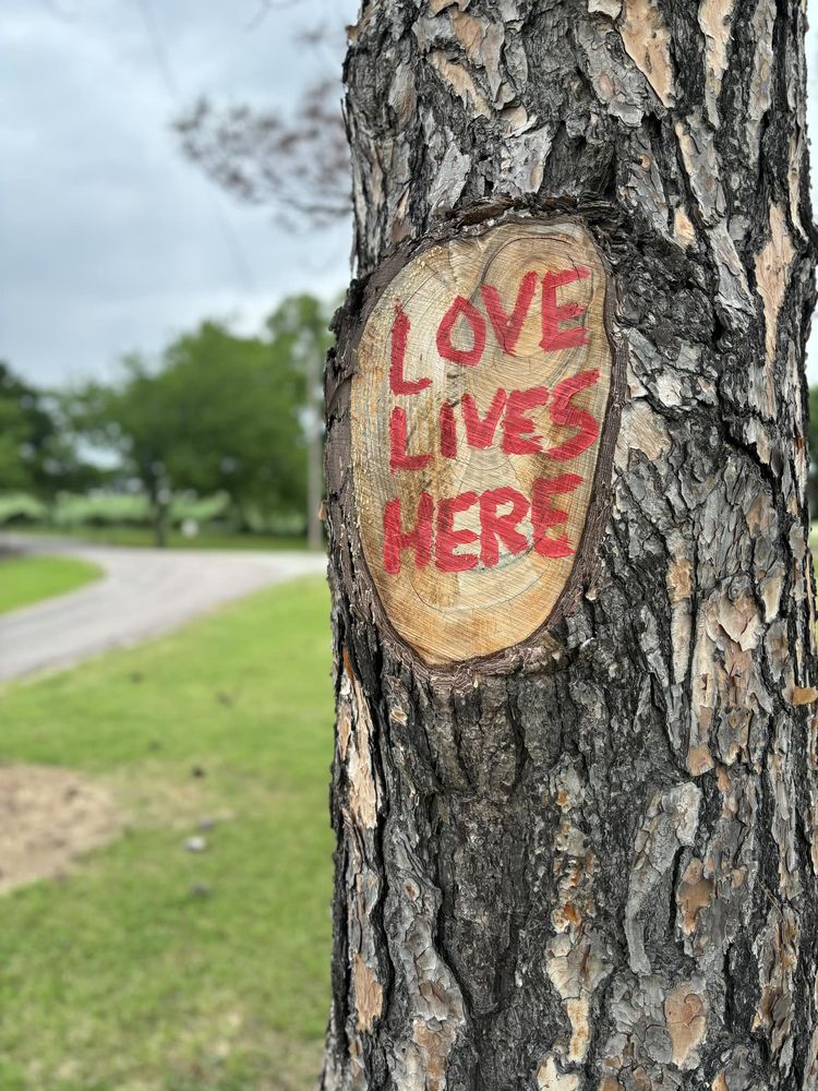 HEALING SPRINGS RANCH - Updated September 2025 - 100 S Texas St, Tioga ...