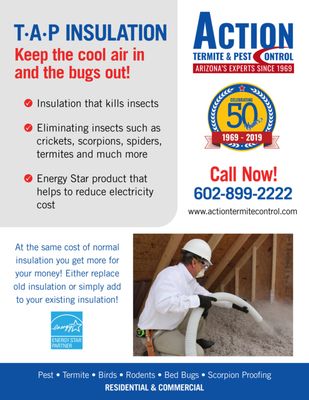 ACTION Termite & Pest Control - Same Day Service Available - Updated ...