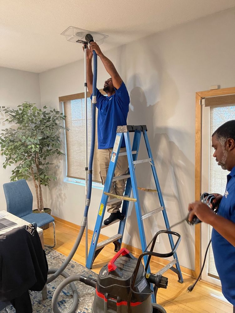 COIT CLEANING AND RESTORATION - Updated February 2025 - 20 Photos ...