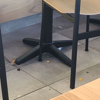 PANERA BREAD - Updated May 2024 - 50 Photos & 21 Reviews - 885 W 5th St ...