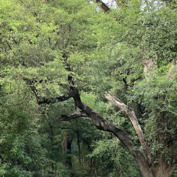 OLMOS BASIN PARK - Updated January 2026 - 53 Photos & 23 Reviews - 500 ...