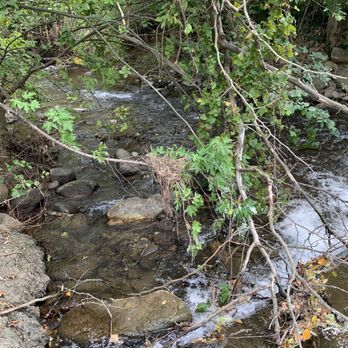 CULLER LAKE - Updated December 2025 - 50 Photos - Frederick, Maryland ...