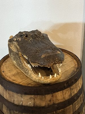 TARPON TURTLE WATERFRONT GRILL - Updated April 2026 - 558 Photos & 639 ...