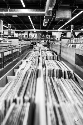 JOSEY RECORDS - Updated January 2026 - 122 Photos & 124 Reviews - 2821 ...