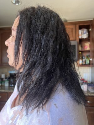 KUT N BEAUTY - Updated August 2024 - 146 Photos & 159 Reviews - 876 W ...