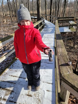 STIGLMEIER PARK - Updated December 2025 - 192 Photos & 40 Reviews - 500 ...