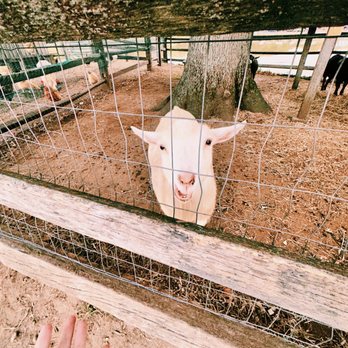 CONNORS FARM - Updated February 2025 - 199 Photos & 324 Reviews - 30 ...